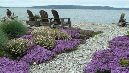 New England Oceanfront Landscape Design Inspiration
