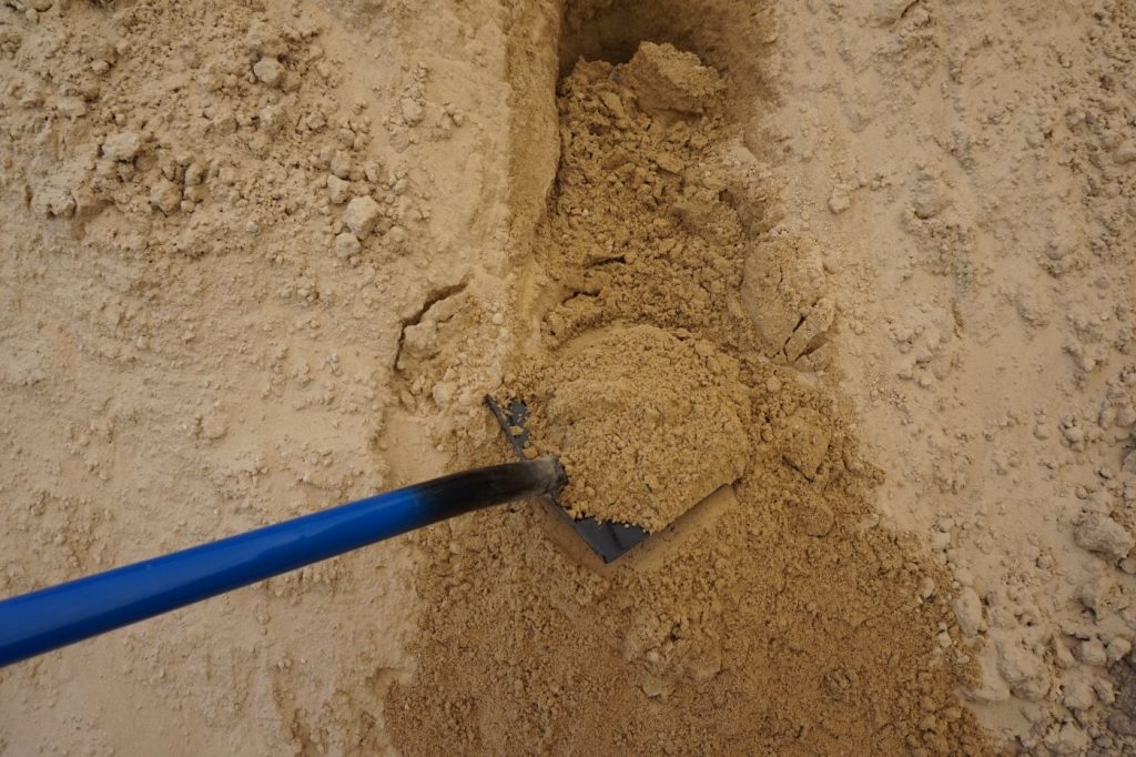 Buy Native Blonde Infield Mix - South Shore Landscape Supply